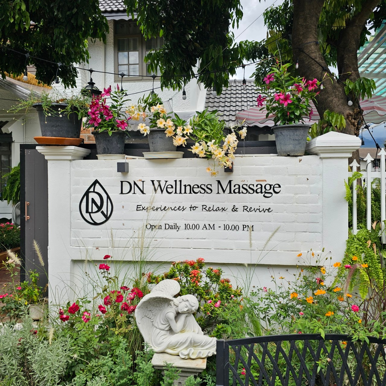 DN Wellness